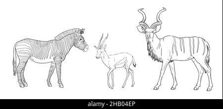 Greater kudu, zebra and Thomson's gazelle silhouette. African ruminants ...