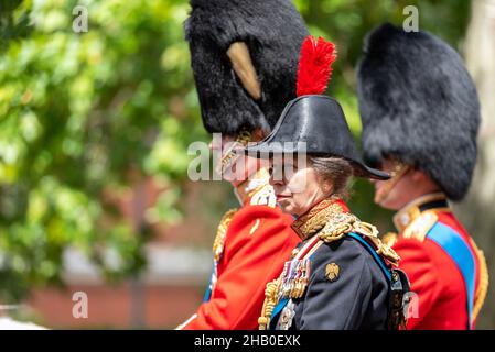 Princess Anne. Anne, Princess Royal in military ceremonial uniform ...