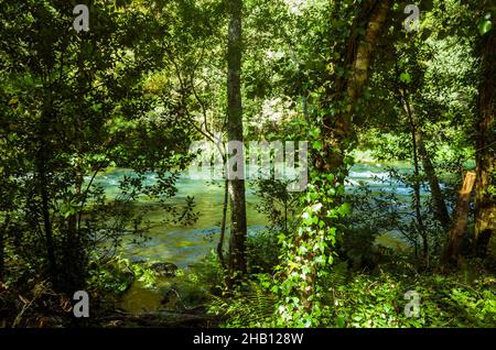 Fragas do Eume Natural Park, Pontedeume, La Coruña, Galicia, Spain ...