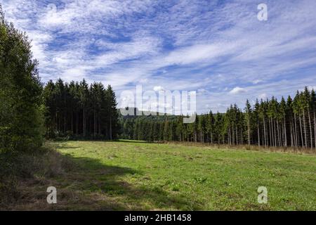 Landscape view of fields and forests. Ardennes, Belgium Stock Photo - Alamy
