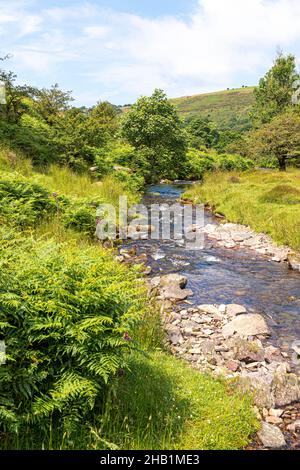 An Exmoor stream in summer - Weir Water near Robbers Bridge, Somerset ...