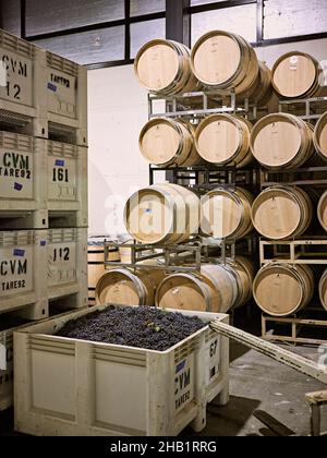 Grapes await destemming at a wine processing facility Stock Photo - Alamy
