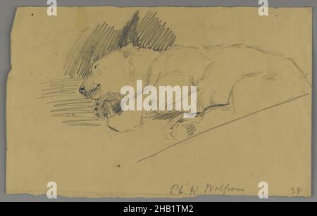 Sleeping Polar Bear Philip H. Wolfrom (American, 1870-1904). Sleeping ...