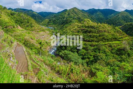 Rice terraces near Cambulo village, Luzon island, Philippines Stock ...