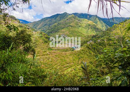 Rice terraces near Cambulo village, Luzon island, Philippines Stock ...
