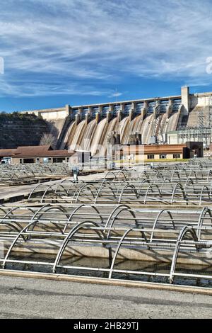Shepherd of the Hills Fish Hatchery, Table Dam hydroelectric dam in the ...