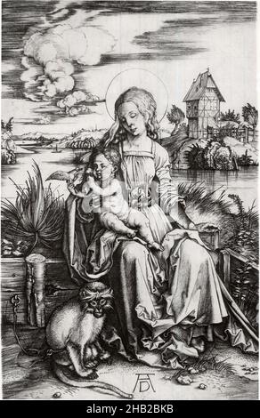 Madonna With The Monkey 1498 by Albrecht Durer Stock Photo - Alamy