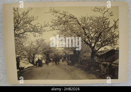 View of Japan, Albumen silver photograph mounted on cardboard, Japan, late 19th-early 20th ...