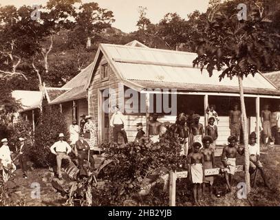 The Hospital, Levuka, Fiji, 1884, by Burton Brothers Stock Photo - Alamy
