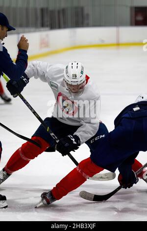 Florida Panthers' Anton Lundell (15) in action during the second period ...