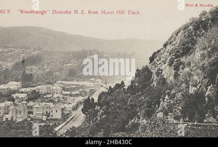 Woodhaugh from Maori Hill track, Dunedin, by Muir & Moodie Stock Photo ...