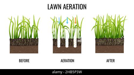 Lawn aeration stage illustration. Before and after aeration ...