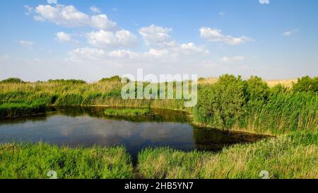 Scenery of the Azraq Wetlands Reserve in the town of Azraq in the ...