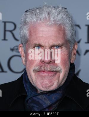 Ron Perlman arrives at the premiere of "The Tragedy of Macbeth" at the ...