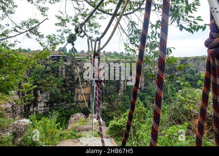 Zip line at the bottom of the Graskop gorge, South Africa Stock Photo ...