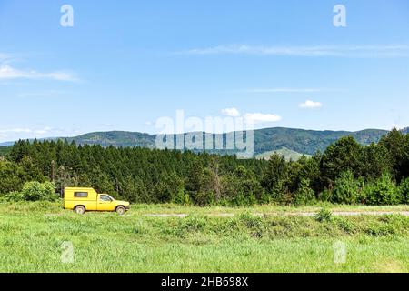 Bergvliet tree plantation in Sabie, Mpumalanga, South Africa Stock ...