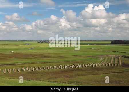 Dragons teeth,Second world war, anti tank barriers, on Kimmeridge beach ...