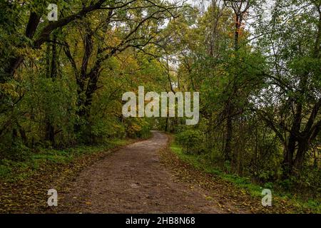 A rural asphalt road in Parke County, Indiana during the Autumn leaf ...