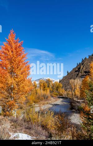 USA, Idaho, Ketchum, Fall foliage in mountains near Sun Valley Stock ...