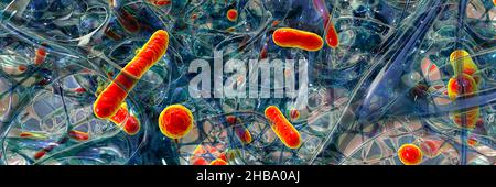 Colonies of Staphylococcus aureus bacteria, illustration Stock Photo ...