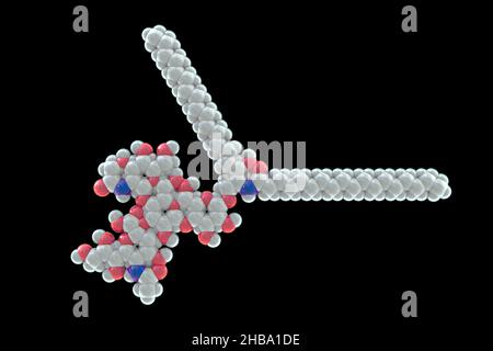 Molecule of Ganglioside GM2, illustration. It is associated with GM2 ...