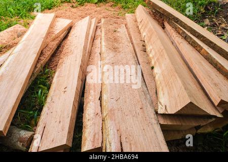 Neem tree Azadirachta excelsa (jack) jacob lumber wood industry, wood ...