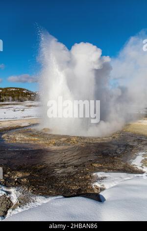 Geyser in Biscuit Basin in Yellowstone National Park in Wyoming Stock ...