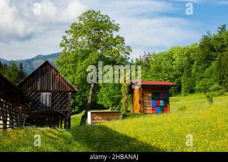 Icons of Slovenia; Kozolec (hay drying rack) and beehive. Photographed ...
