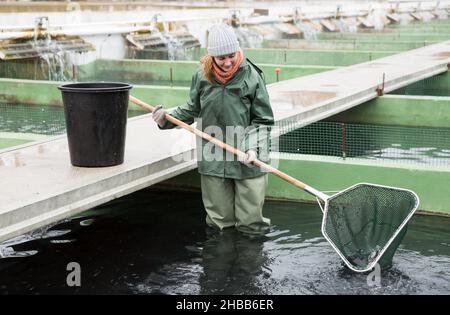 Woman standing in fish tank catching fish on farm Stock Photo - Alamy