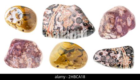 set of various leopard skin jasper natural mineral stones and gemstones ...