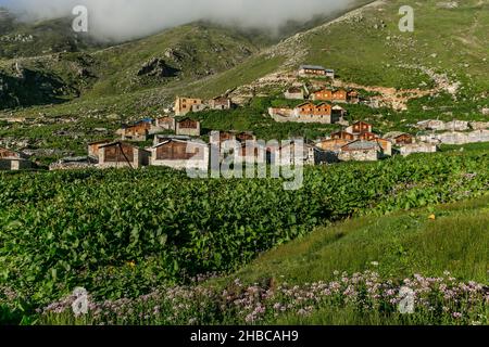 Golezena, a highland village in the Ardeşen district of Rize, offers authentic houses Stock ...