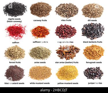 set of piles of variuos spicy seeds with names cutout on white ...