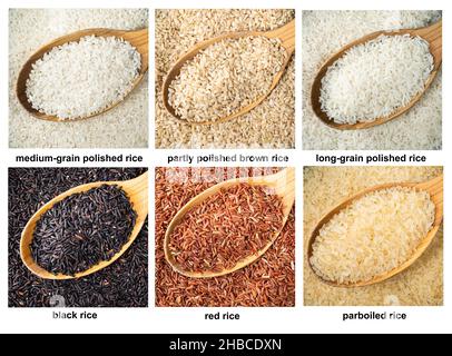 background - various rice grains with names Stock Photo - Alamy