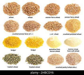 set of piles of variuos wholegrain grains with names cutout on white ...