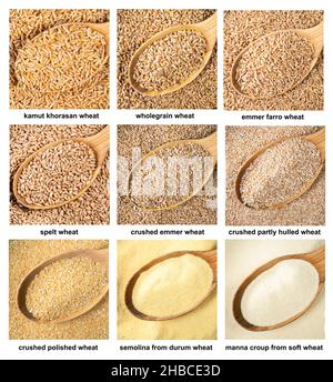 background - various wheat grains with names Stock Photo - Alamy