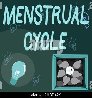 Menstrual cycle, drawing Stock Photo - Alamy