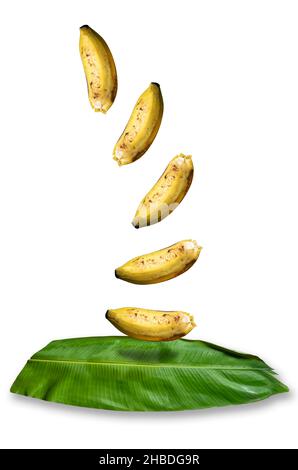 Fresh ripe bananas falling on white background Stock Photo - Alamy