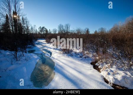Wisconsin forest with a stream running through it in November ...