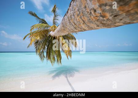 turquoise sea color and sand beach Stock Photo - Alamy