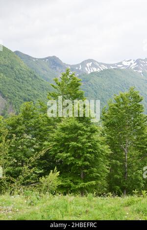 Northern Albanian mountains in Vermosh, Albania. Visit Albania Stock ...