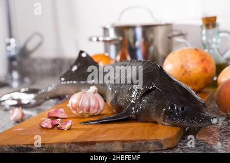 Picture of raw fish sturgeon at plate before preparing laying on table ...