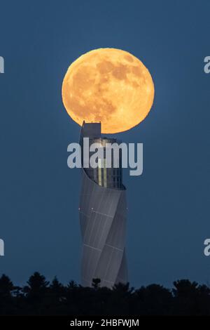 Rottweil, Germany. 19th Dec, 2021. An overhead line pylon and trees are ...