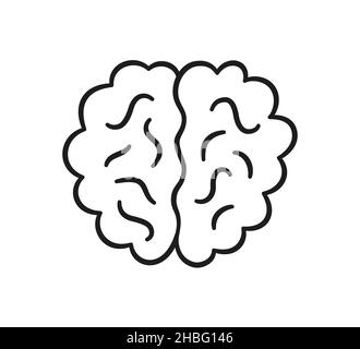 HUman brain cartoon scribble Stock Vector Image & Art - Alamy