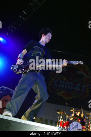 Sum Forty One Perform Live on Stage with the Mighty Mighty Bosstones at ...