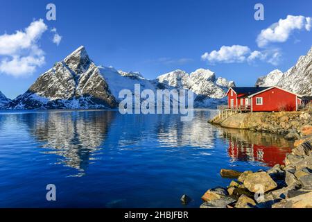 Traditional Norwegian red wooden houses (rorbuer) on the shore of ...
