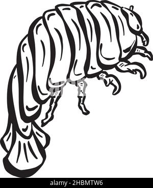 Isopod Woodlouse Illustration Logo Sea Creature Stock Vector Image ...