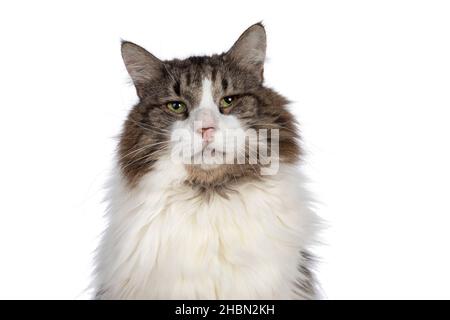 Close-up of the eye showing an entropion, an inturning of the lower ...