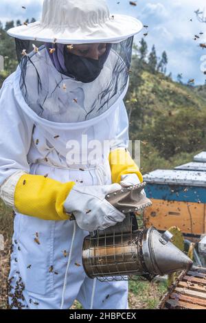 A young woman beekeeper working with honeycomb Stock Photo - Alamy