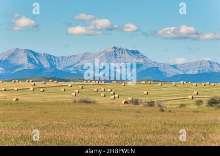 Scenic farmland in the prairies and foothills at the base of the Rocky ...