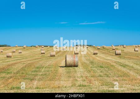 Prairie views in the foothills of Alberta Canada in the summertime ...